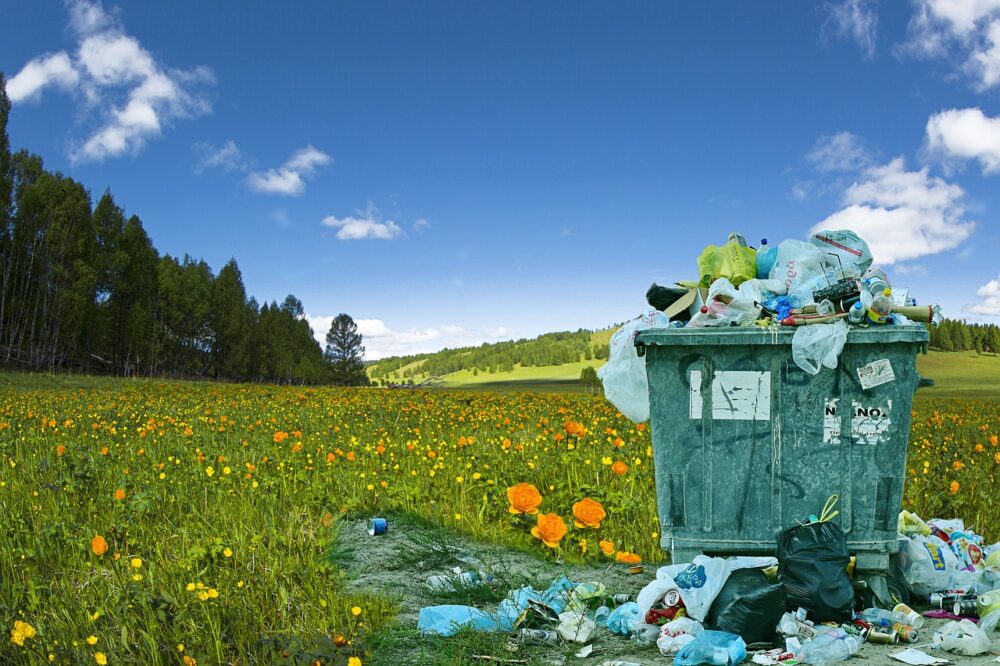 Yard trash can | Trash Removal Solutions